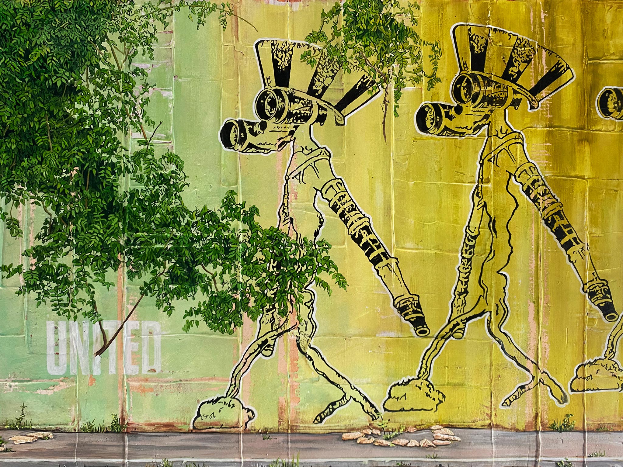 Gallery – Miranda Donovan